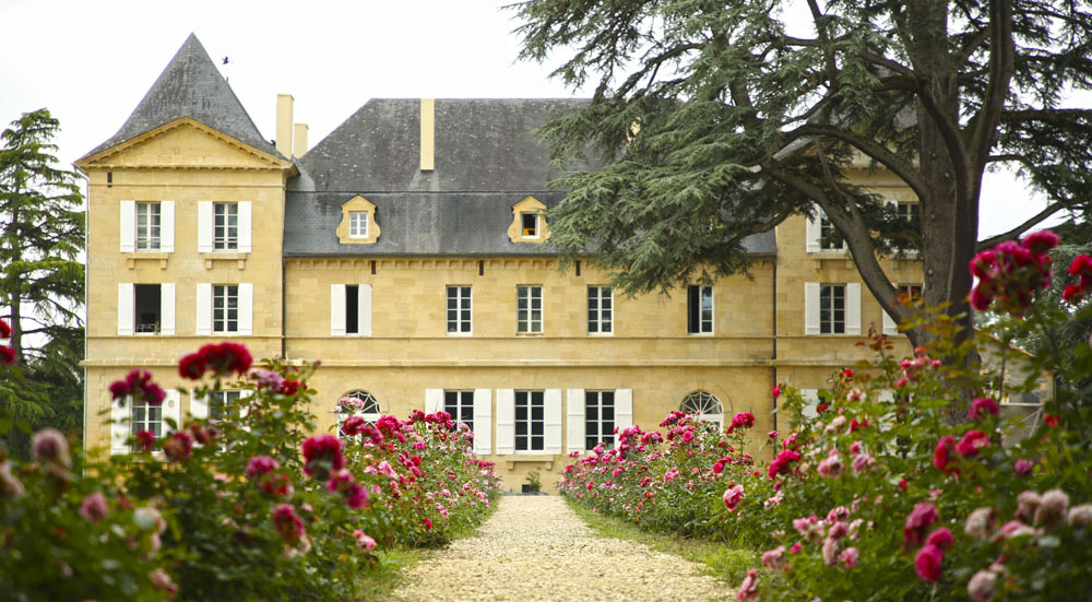 Sifex Ltd - About Us